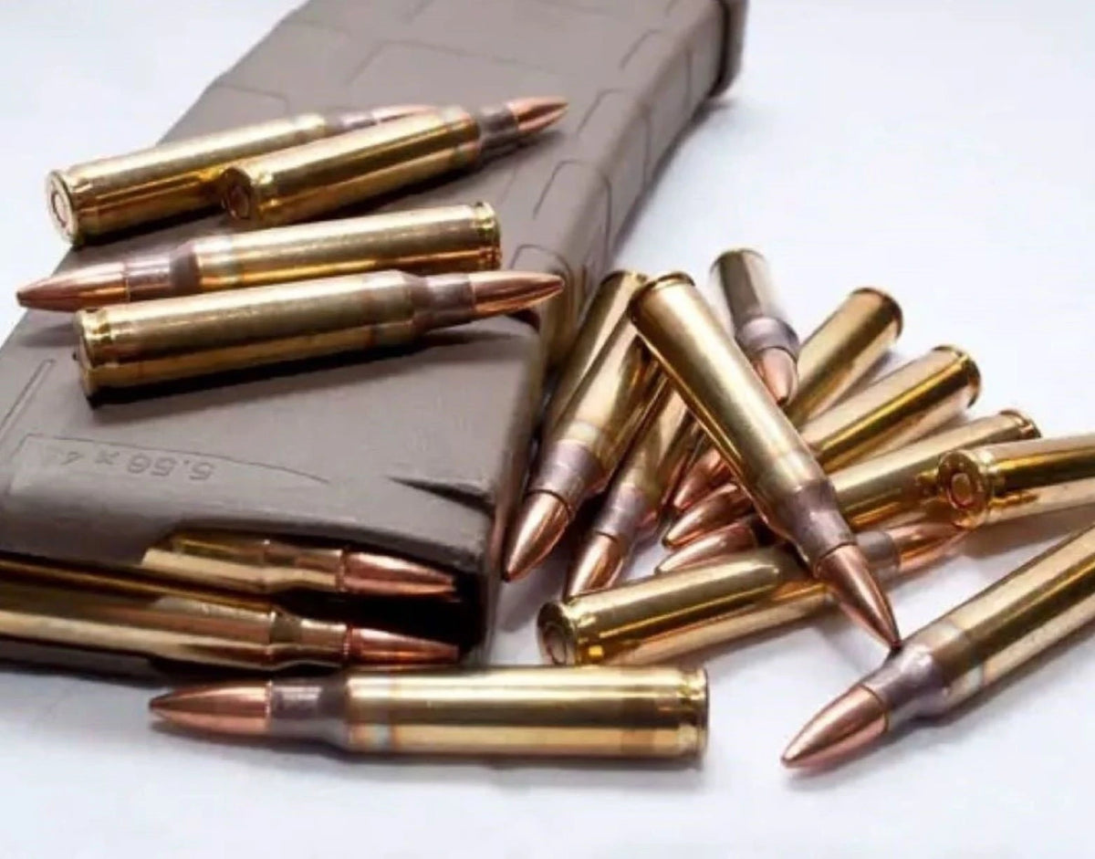 Rifle – Iron Sight Ammunition